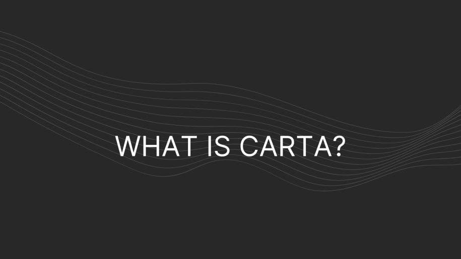 What is Carta? Everything You Need To Know - RevPilots