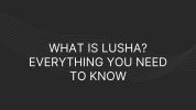 What is Lusha? Everything You Need To Know - RevPilots