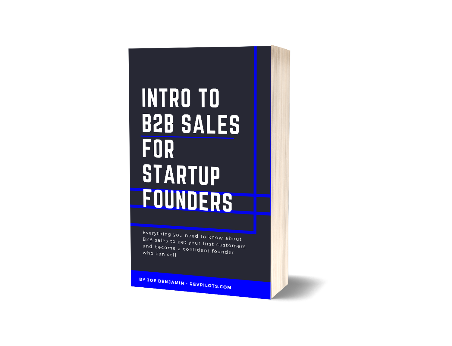 Sales Guide - RevPilots