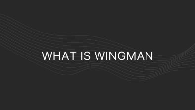 What is Wingman - Everything You Need To Know