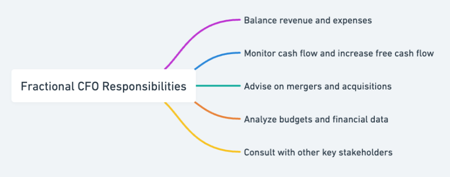 What is a Fractional CFO? - RevPilots