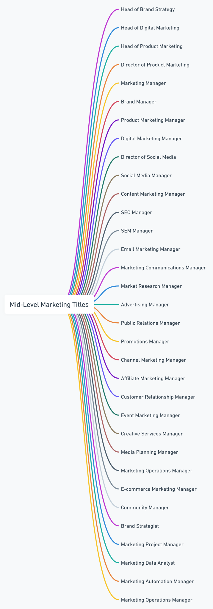 Job Titles in Marketing, Marketing Title Hierarchy | Job Descriptions