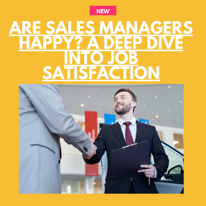 Are Sales Managers Happy in 2024? A Deep Dive into Job Satisfaction ...